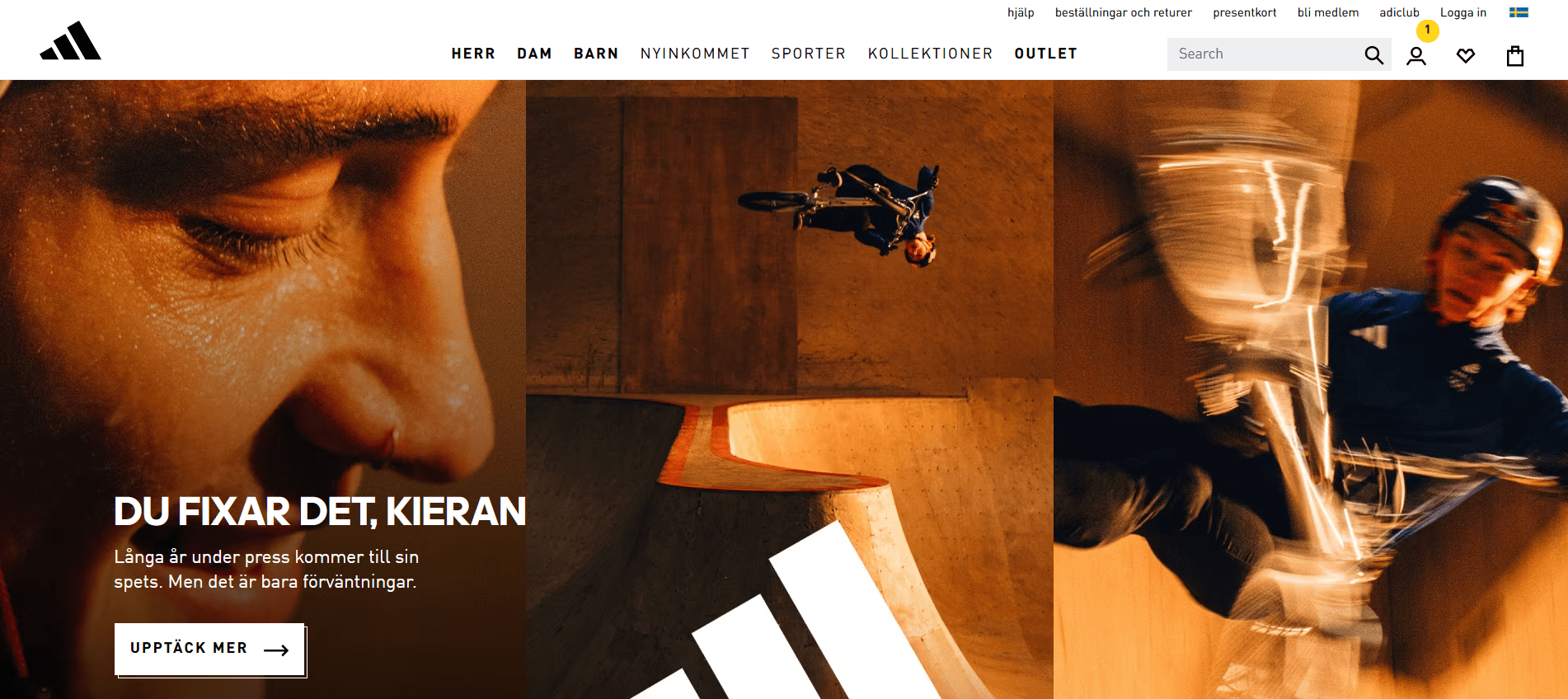 Building a Global Brand: A Blueprint for International Brand Management